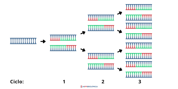 O que é PCR (Polymerase Chain Reaction)? E para que serve? - Hipperquímica